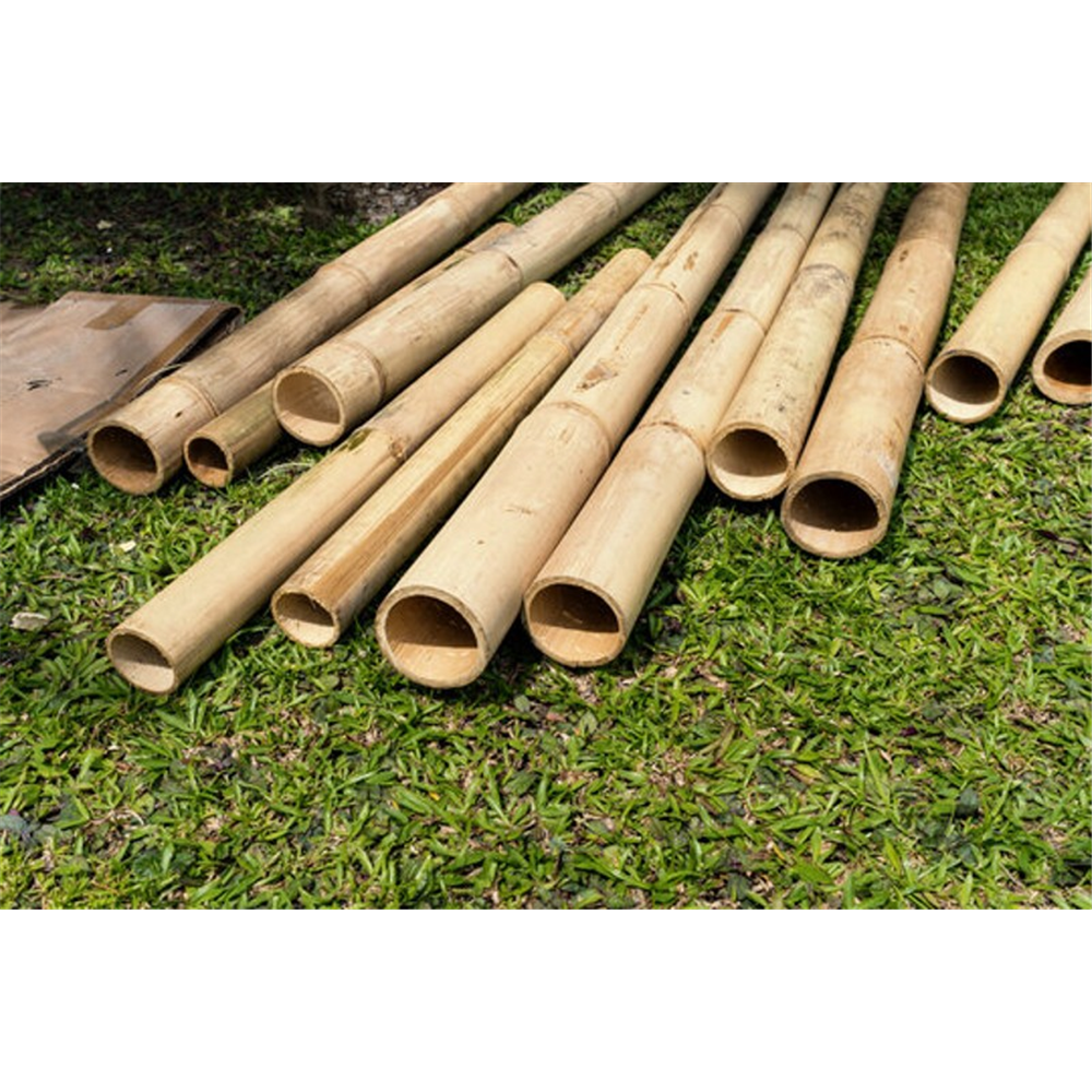 Bamboo Pole 8ft 40-45mm | Waterperry Gardens - Oxfordshire Garden ...