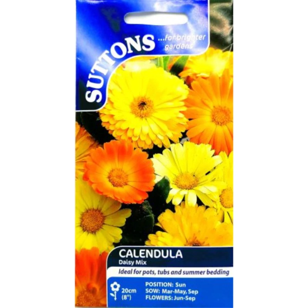 Calendula Daisy Mix | Waterperry Gardens - Oxfordshire Garden Centre ...
