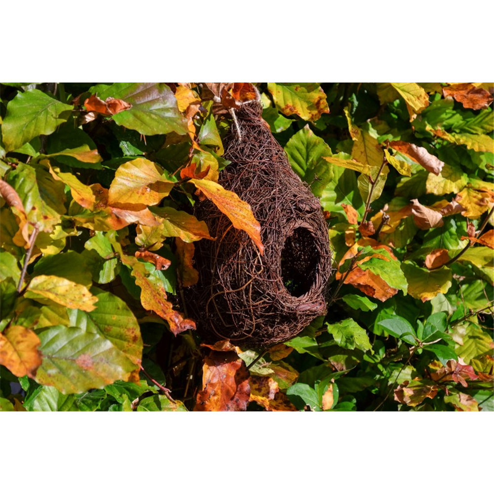 Wildlife World Giant Roost/Nest Pocket for Small Birds | Waterperry ...