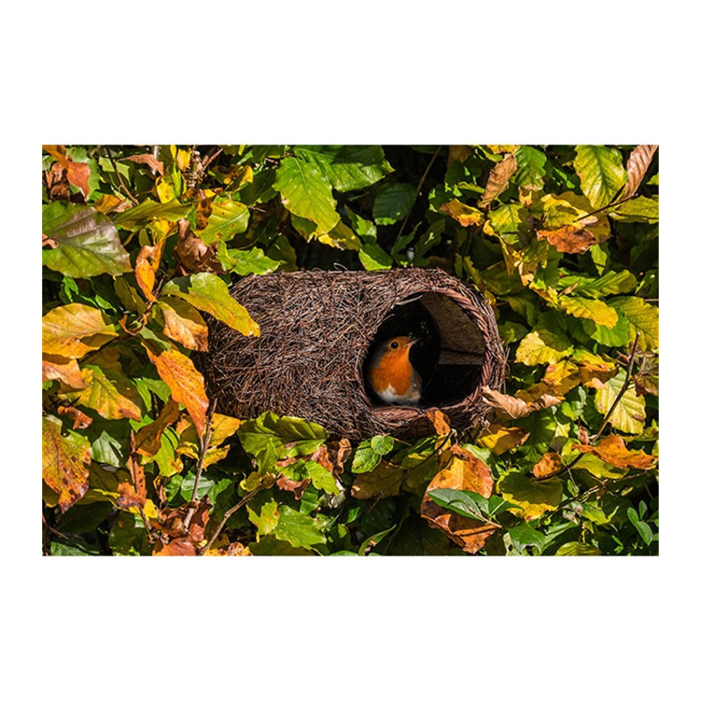 Simon King Robin Nestbox | Waterperry Gardens - Oxfordshire Garden ...