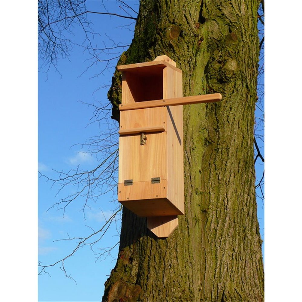 Wildlife World Tawny Owl Nest Box | Waterperry Gardens - Oxfordshire ...