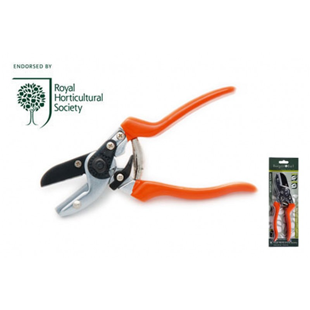 Burgon & Ball Anvil Secateurs - RHS Endorsed | Waterperry Gardens ...