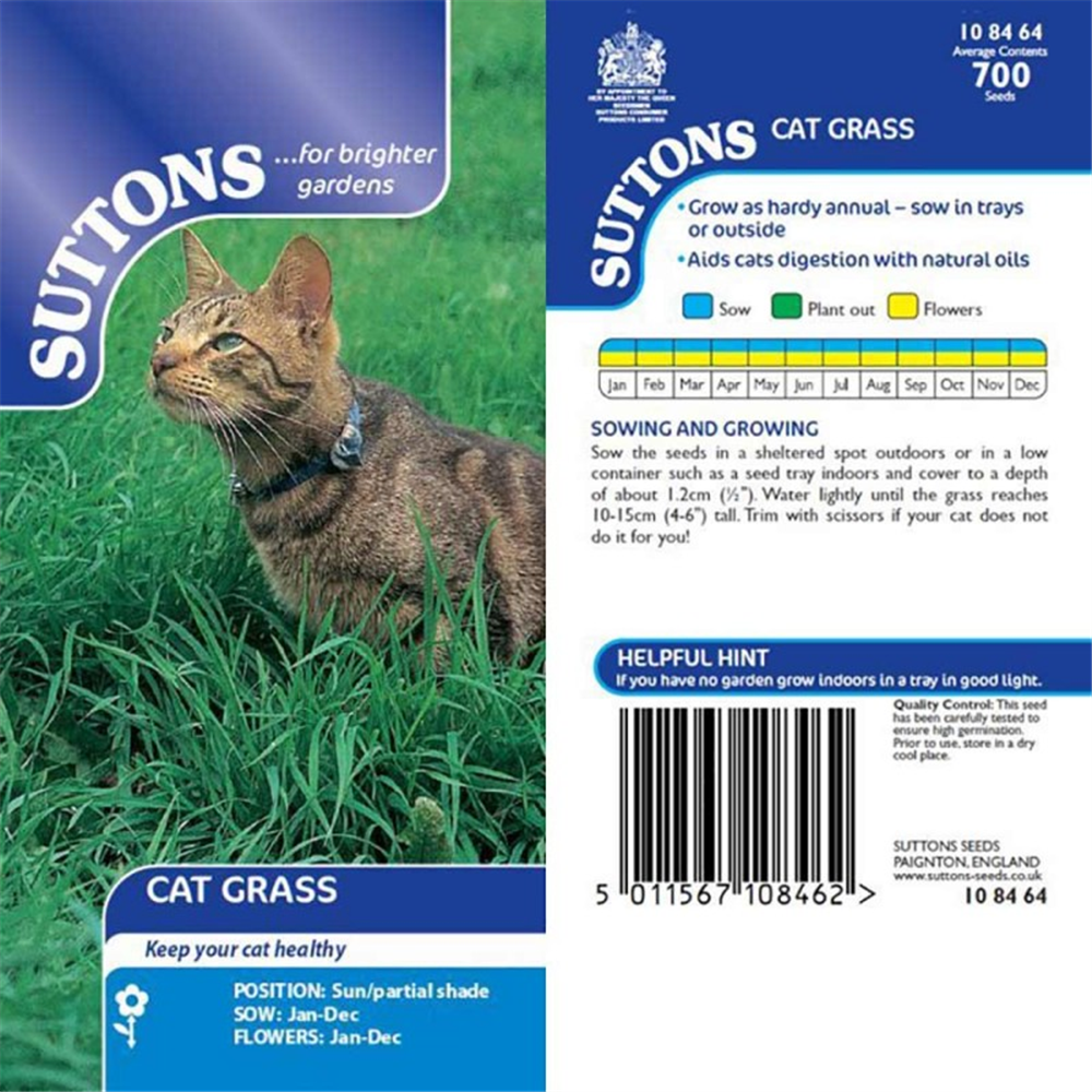 Cat Grass | Waterperry Gardens - Oxfordshire Garden Centre, Buy Plants ...