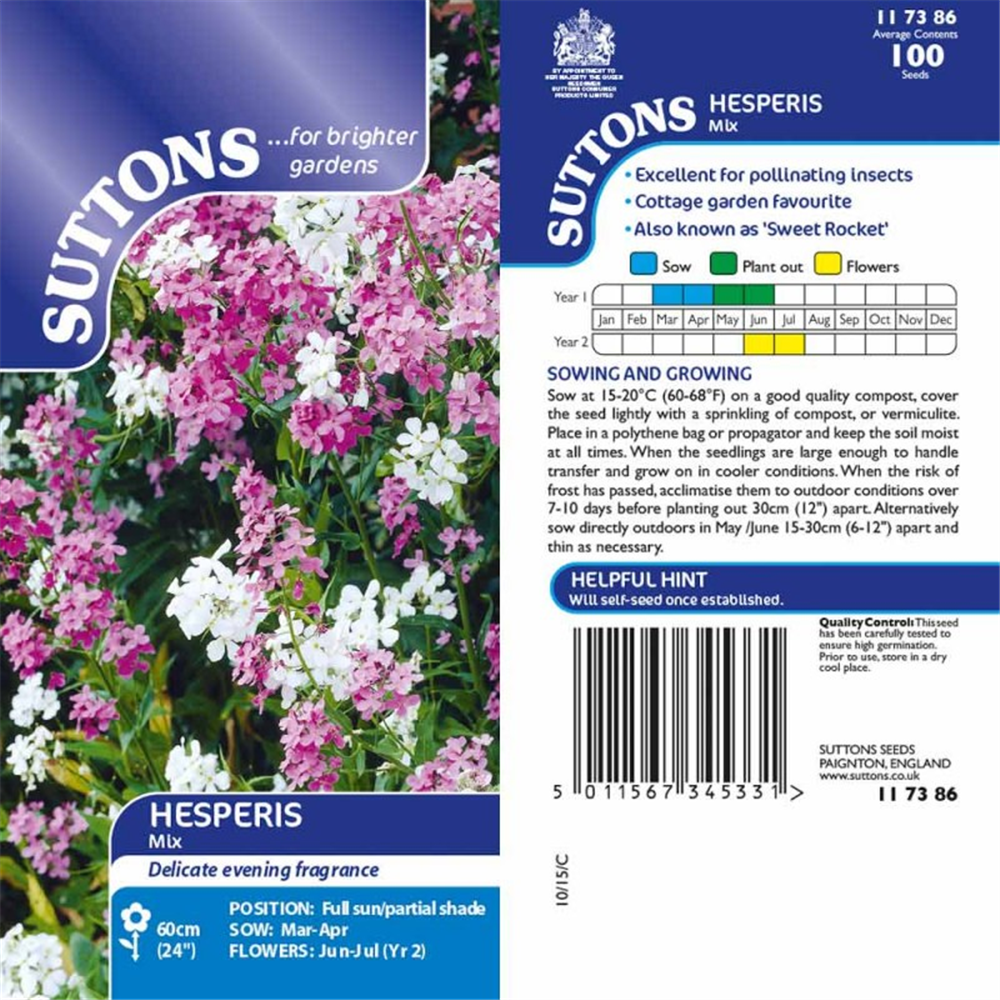 Hesperis Mix | Waterperry Gardens - Oxfordshire Garden Centre, Buy ...