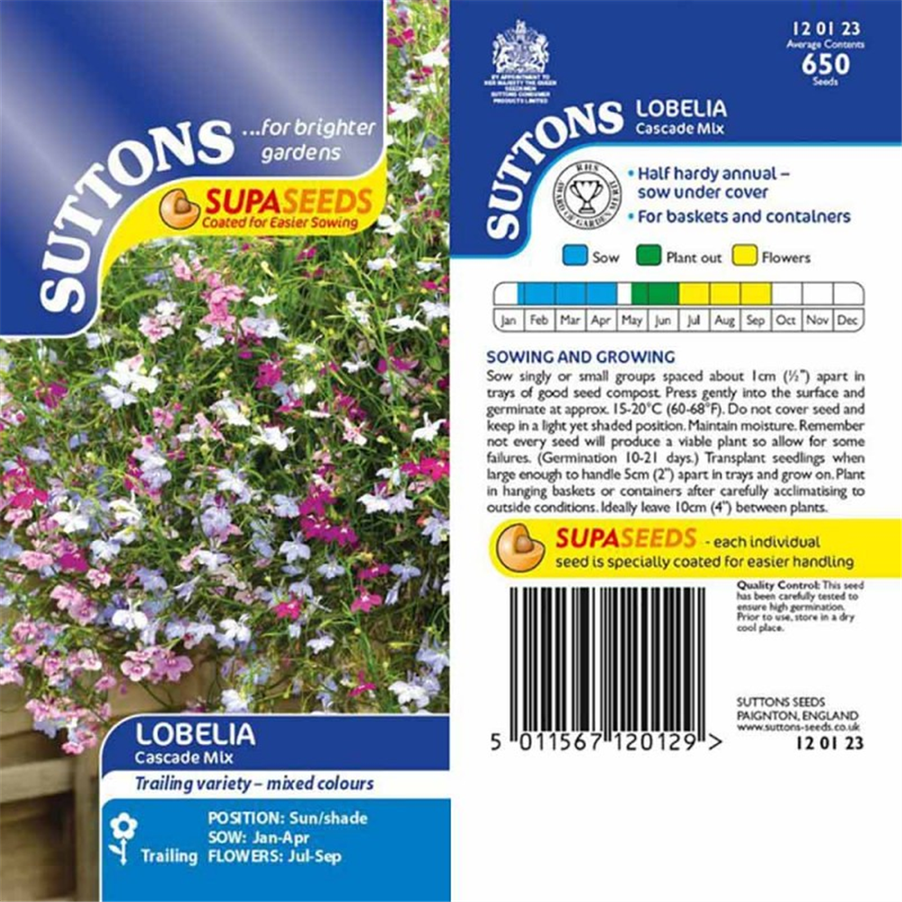 Lobelia Cascade Mix | Waterperry Gardens - Oxfordshire Garden Centre ...