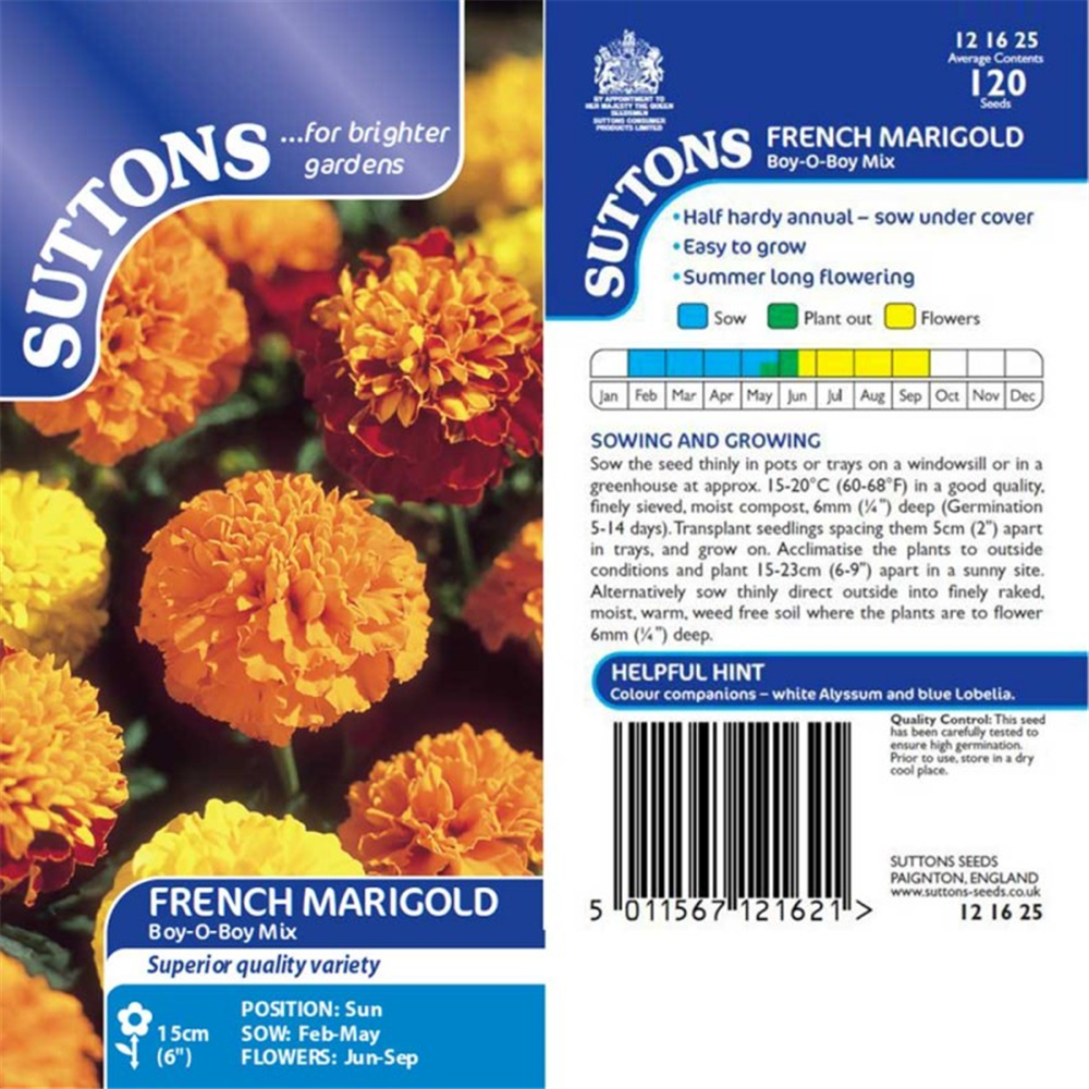 Marigold French Boy-o-boy Mix | Waterperry Gardens - Oxfordshire Garden ...