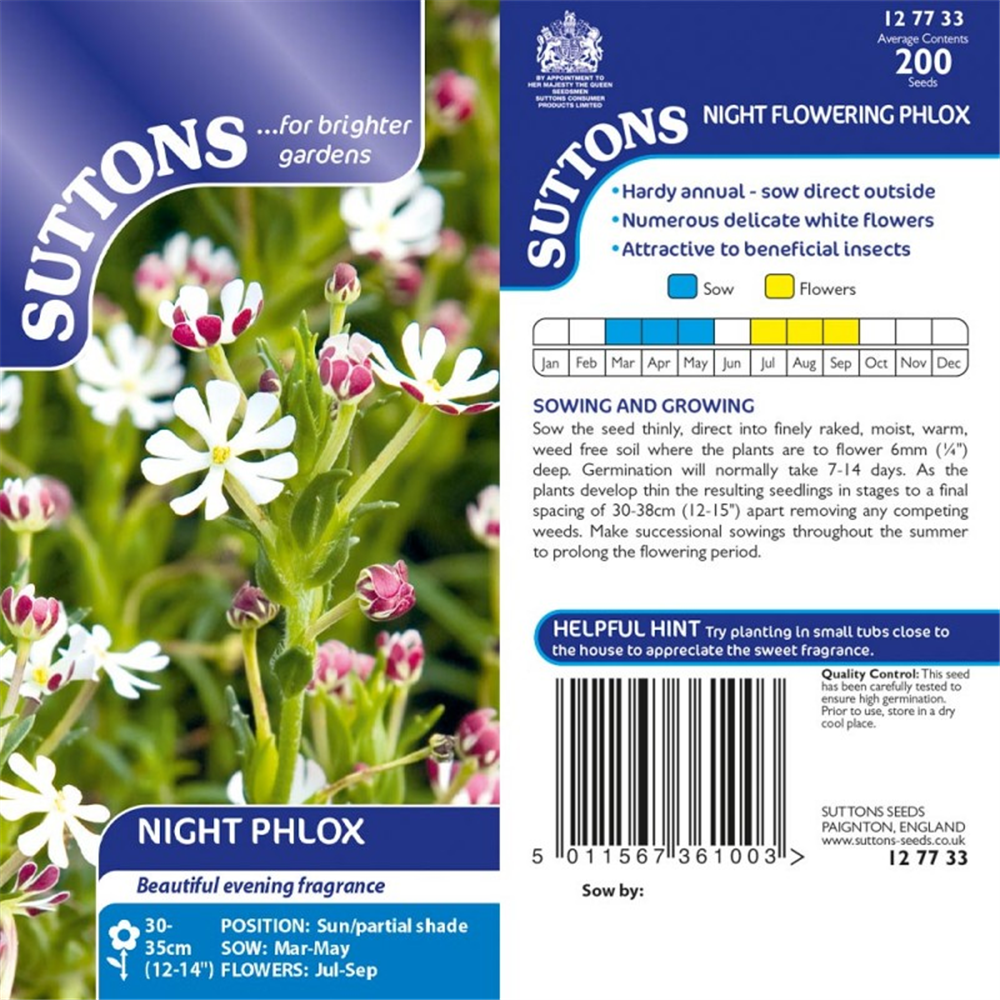 Night Phlox | Waterperry Gardens - Oxfordshire Garden Centre, Buy ...
