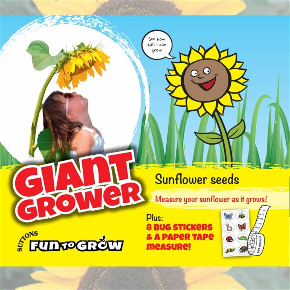Sunflower - Giant Grower (Giant Single) | Waterperry Gardens ...