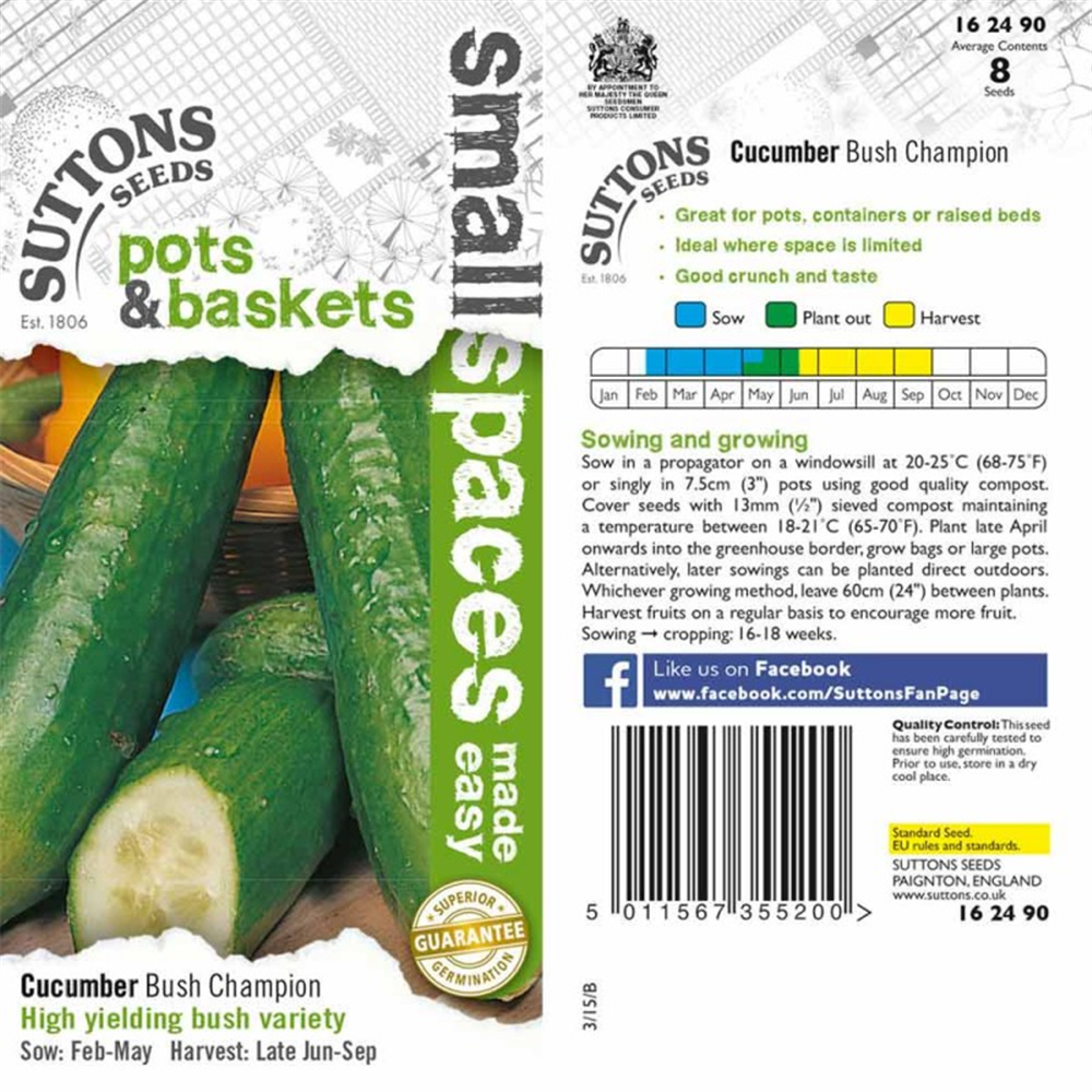 Cucumber F1 Bush Champion | Waterperry Gardens - Oxfordshire Garden ...