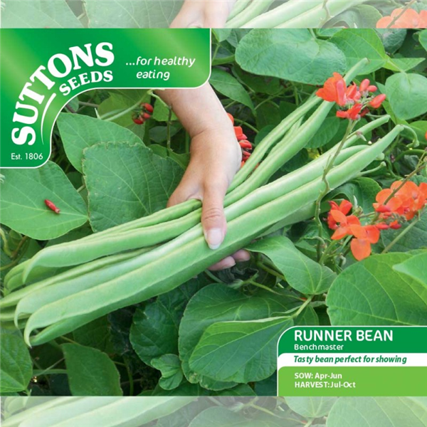 Bean (Runner) Benchmaster | Waterperry Gardens - Oxfordshire Garden ...