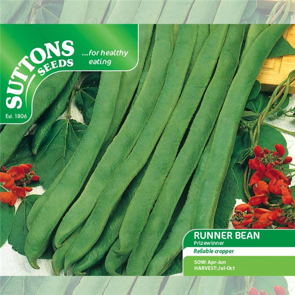 Bean (Runner) Prizewinner | Waterperry Gardens - Oxfordshire Garden ...