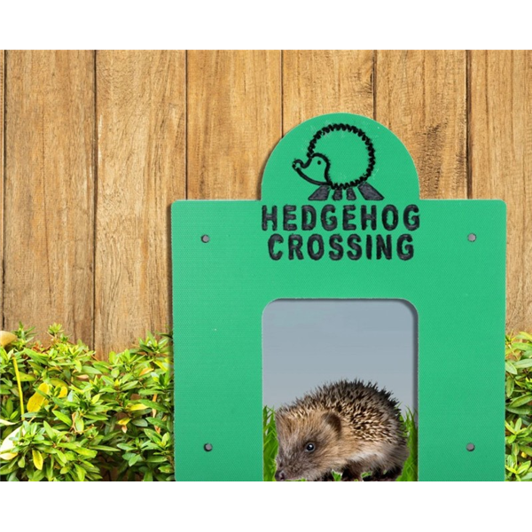 Hedgehog Crossing | Waterperry Gardens - Oxfordshire Garden Centre, Buy ...