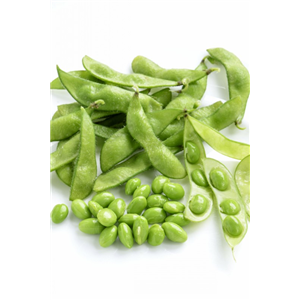 Edamame Soya Bean Green Shell | Waterperry Gardens - Oxfordshire Garden ...