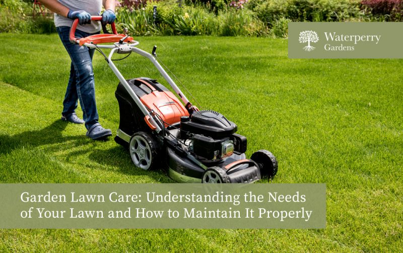 Garden Lawn Care: Understanding the Needs of Your Lawn